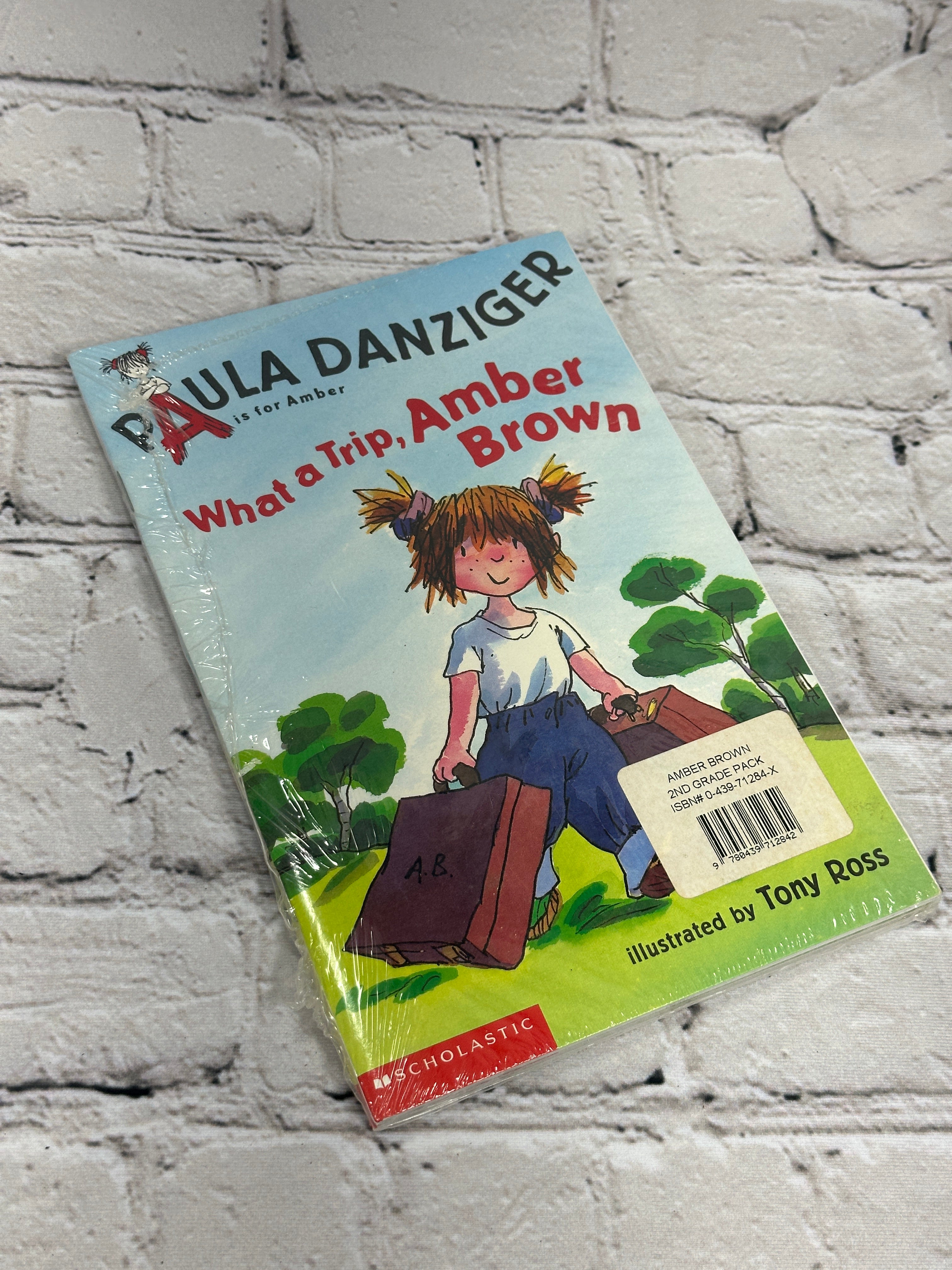 Amber Brown by Paula Danziger [2nd Grade Pack · 3 Books] – Flipped Pages
